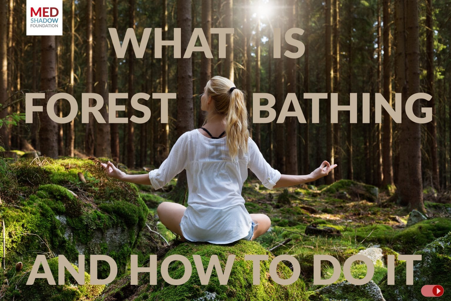 Forest Bathing Infographic - MedShadow Foundation | Independent Health ...